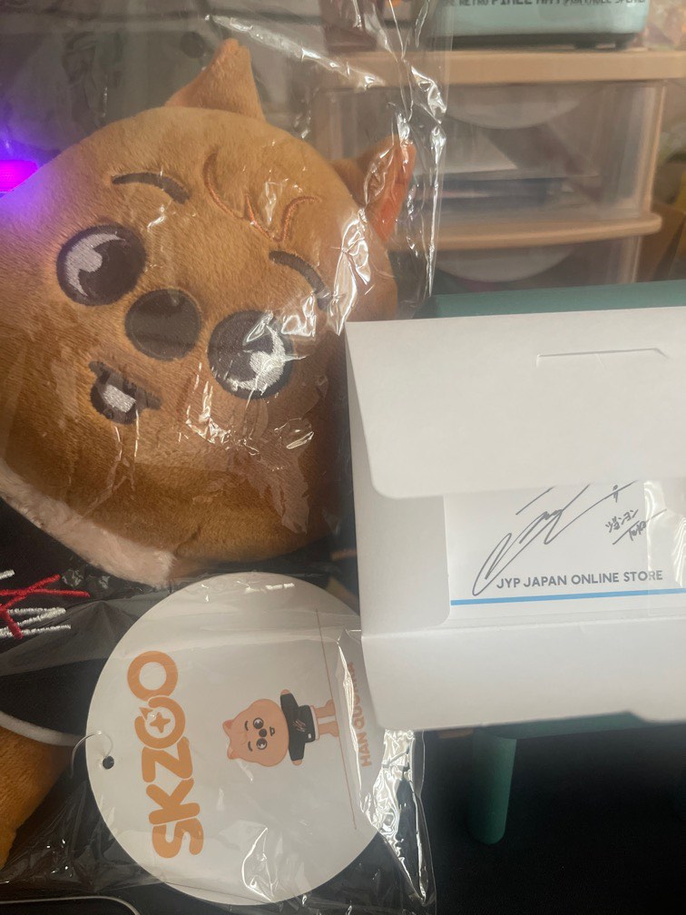 Stray Kids SKZOO HAN, Hobbies & Toys, Memorabilia & Collectibles, K ...