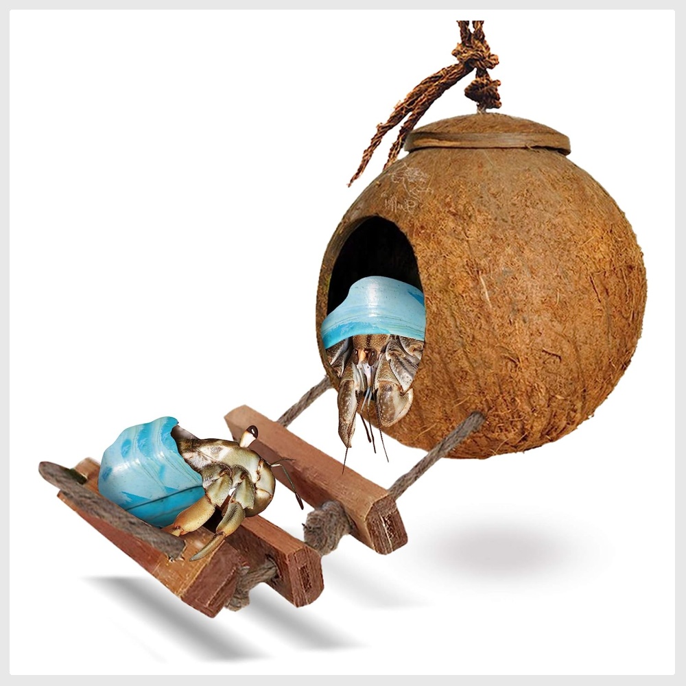 SunGrow Hermit Crab Coco Den with Ladder, Nesting Home Hide, Mini Condo ...