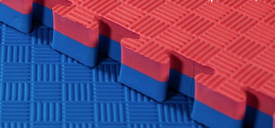 Tatami Mat, Martial Art Mat, Gym Mat 1m x 1m x 2.5cm Taekwondo Mat ...