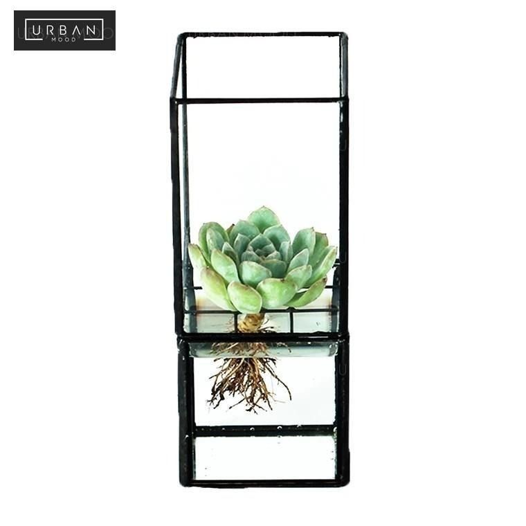 WISTMAN Minimalist Acrylic Planter, Furniture & Home Living, Gardening ...