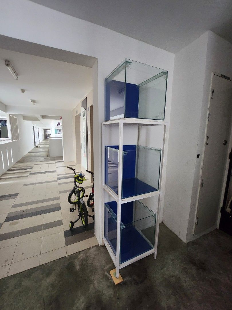 3 tier fish tanks for sale [1.5ft x 1.5ft x 1.5ft], Pet Supplies, Homes ...