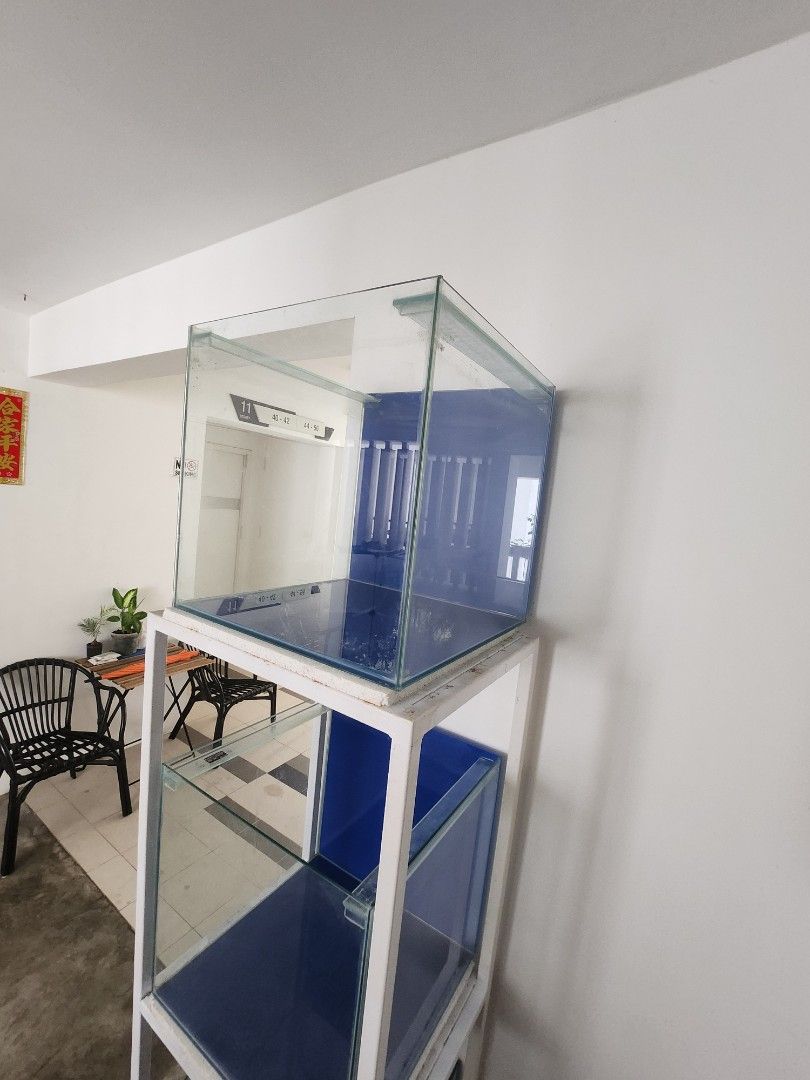 3 tier fish tanks for sale [1.5ft x 1.5ft x 1.5ft], Pet Supplies, Homes ...