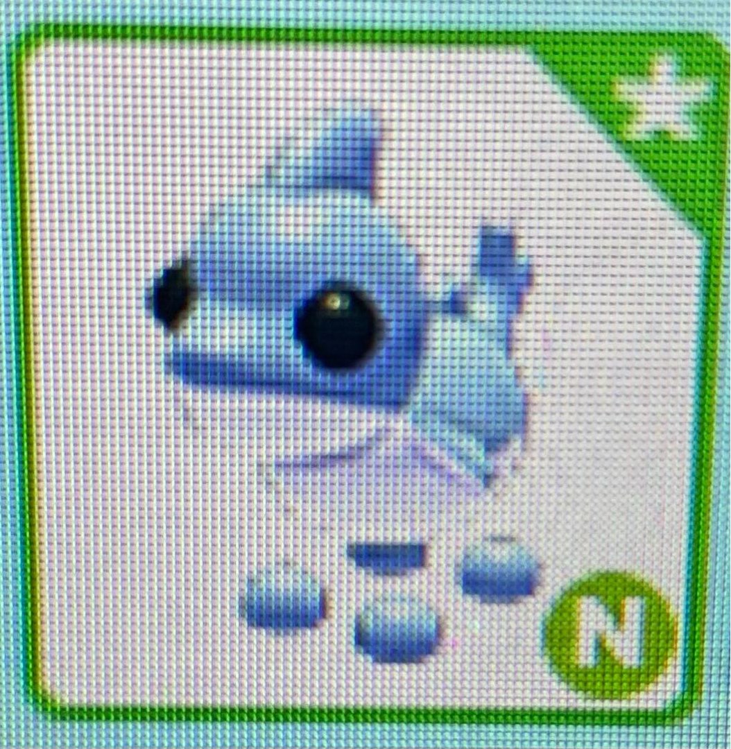 Adopt Me Pets NEON Shark Puppy , Video Gaming, Gaming Accessories, In ...