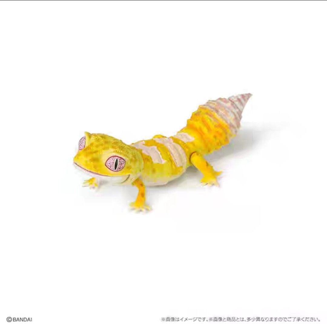 Bandai Gashapon - Lizard Series, Hobbies & Toys, Toys & Games on Carousell