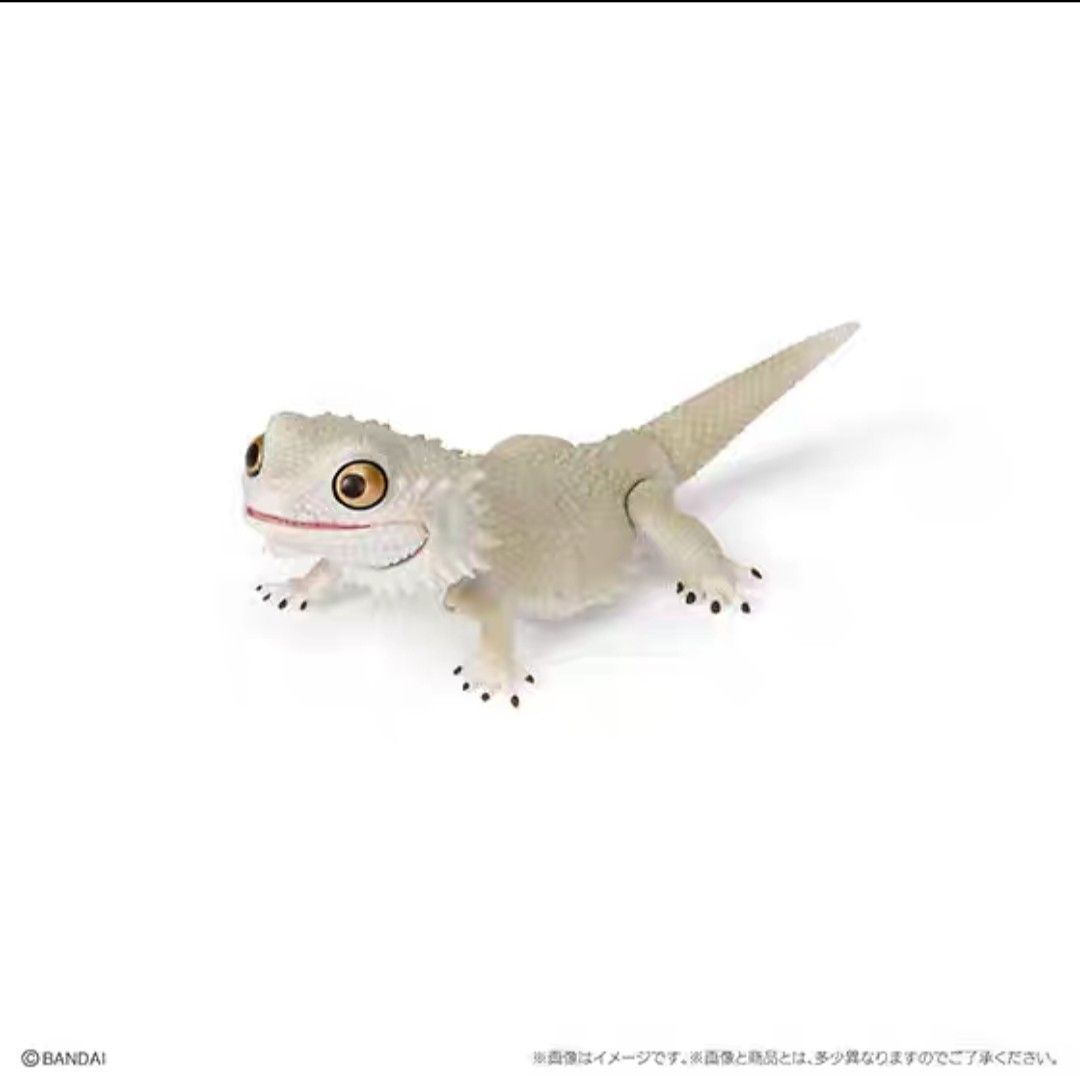 Bandai Gashapon - Lizard Series, Hobbies & Toys, Toys & Games on Carousell