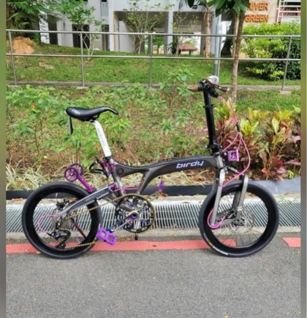 Birdy birdy gt3 with heavily upgrade foldable bicycle bike, Sports ...
