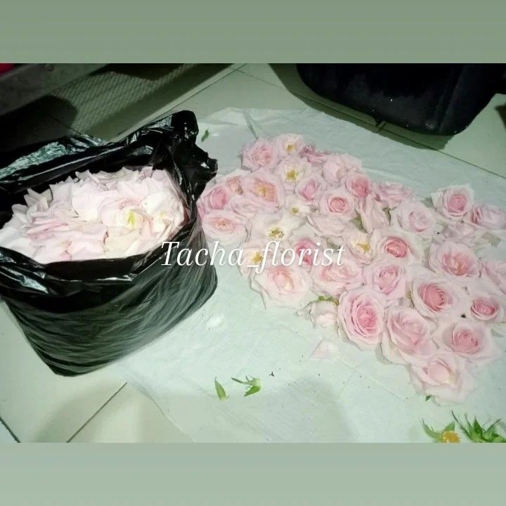 Bunga mawar kelopak dan bunga mawar tabur cimahi bandung, Perkebunan di ...