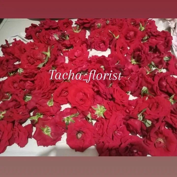 Bunga mawar kelopak dan bunga mawar tabur cimahi bandung on Carousell