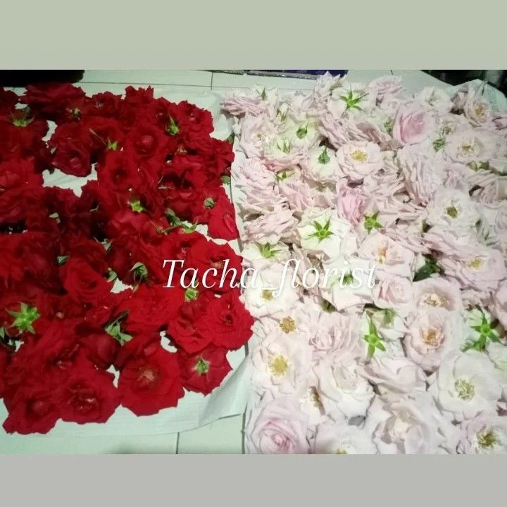 Bunga mawar kelopak dan bunga mawar tabur cimahi bandung on Carousell
