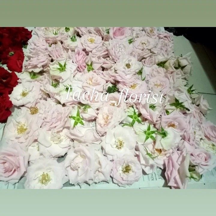 Bunga mawar kelopak dan bunga mawar tabur cimahi bandung, Perkebunan di ...