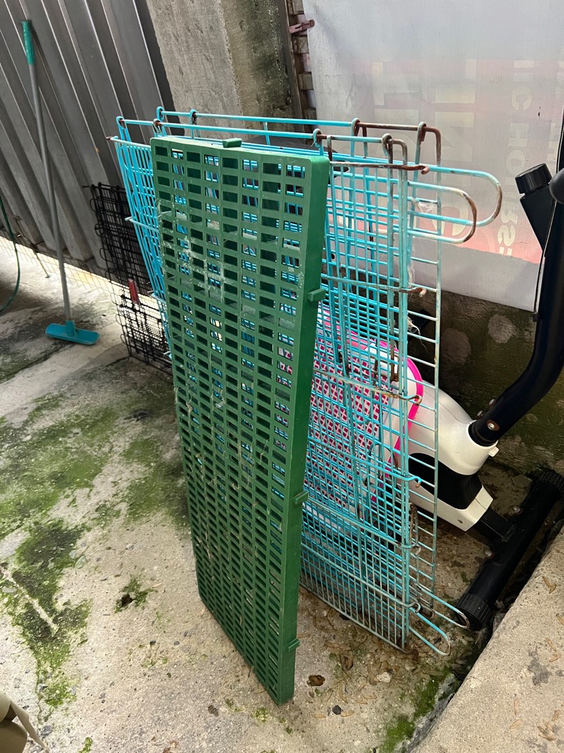 Crib type dog cage / incubator on Carousell