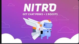 Discord Nitro + 2 Boost Gift Link, Video Gaming, Gaming Accessories ...