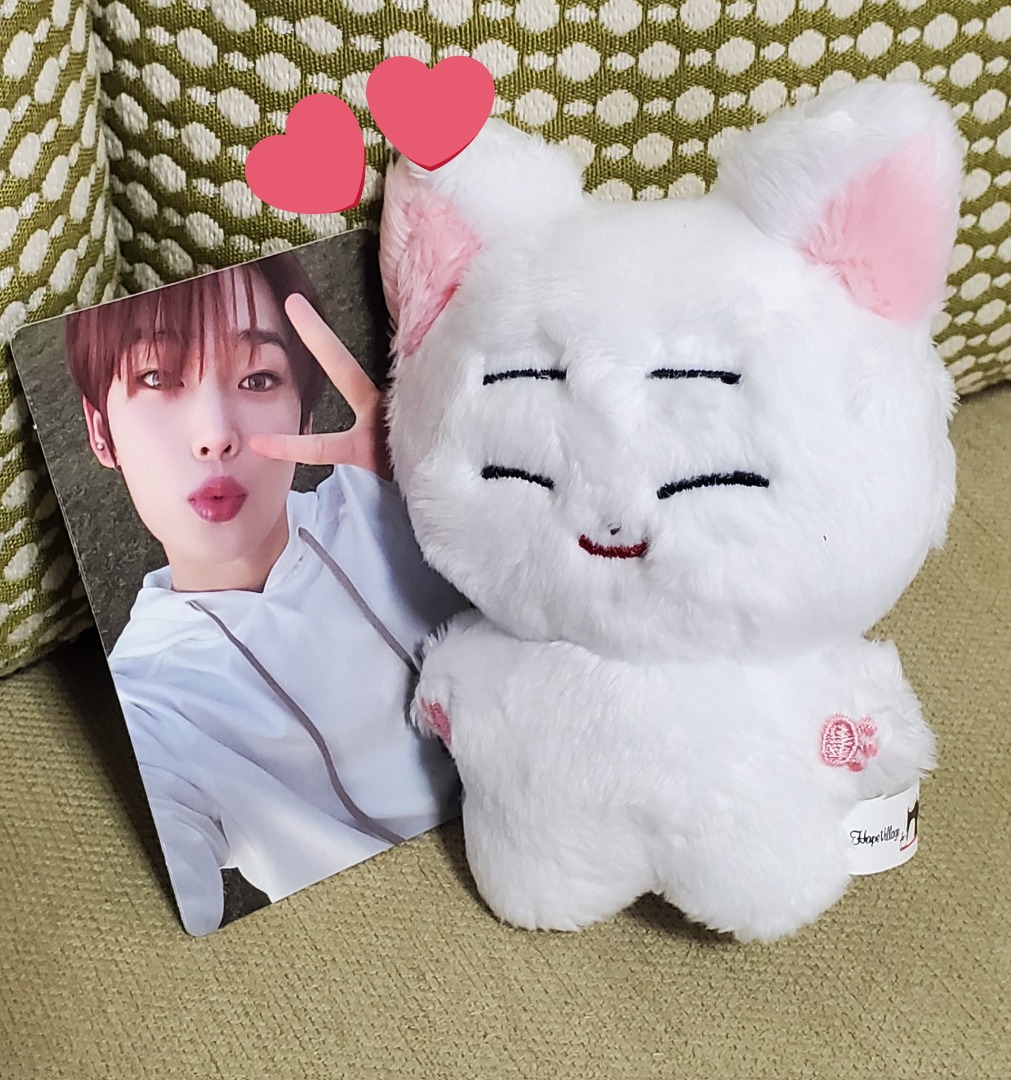 Enhypen Sunoo 10cm White Fox Doll by @en_nimalz, Hobbies & Toys ...