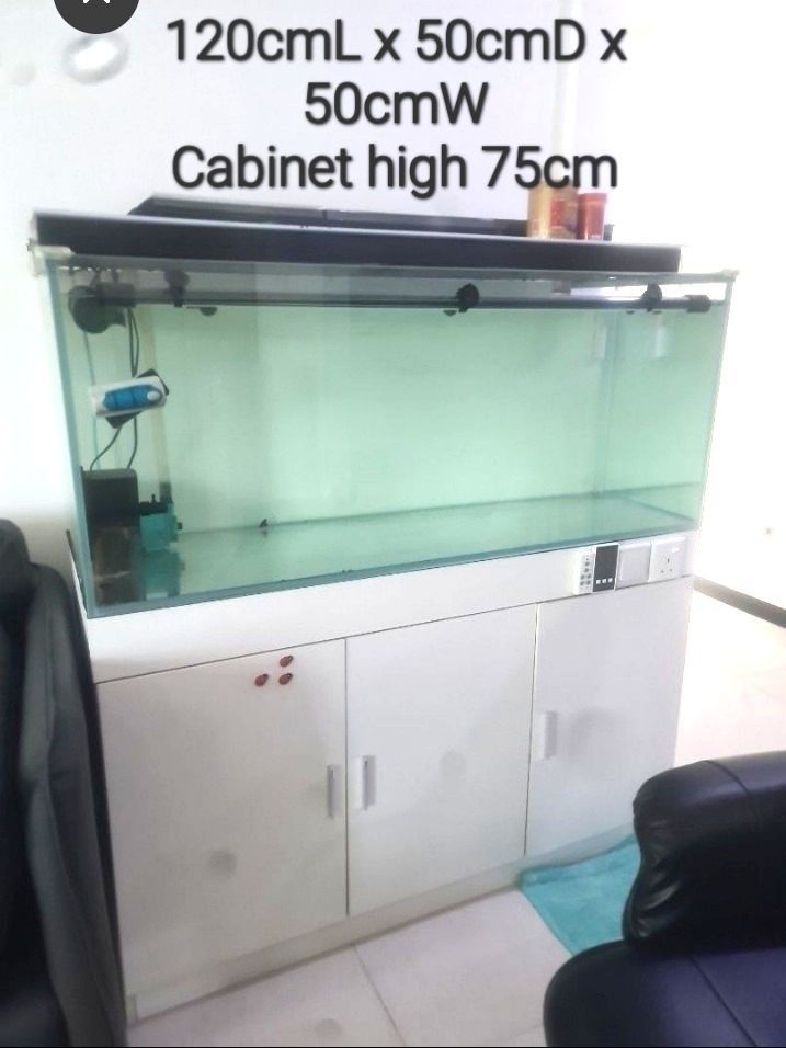 Fish tank 120cm L by 50cm H by 50cm D, Pet Supplies, Homes & Other Pet ...