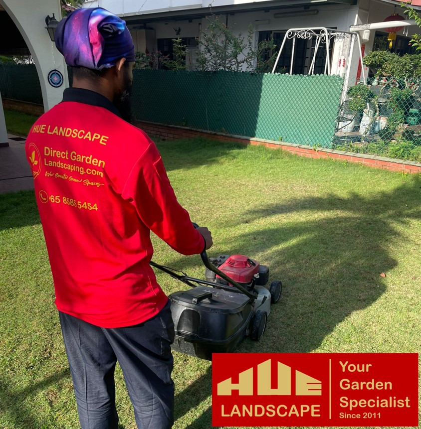 [SAME DAY] Landscaping and Gardening Service: Lawn Mower & Grass Cutting | Lawn Edging ...