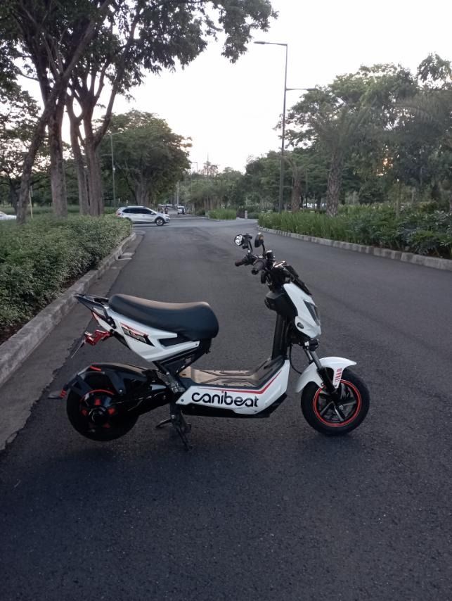 GOGO TRON ELECTRIC BIKE EBIKE / NWOW GXSUN, Motorbikes, Motorbikes for ...
