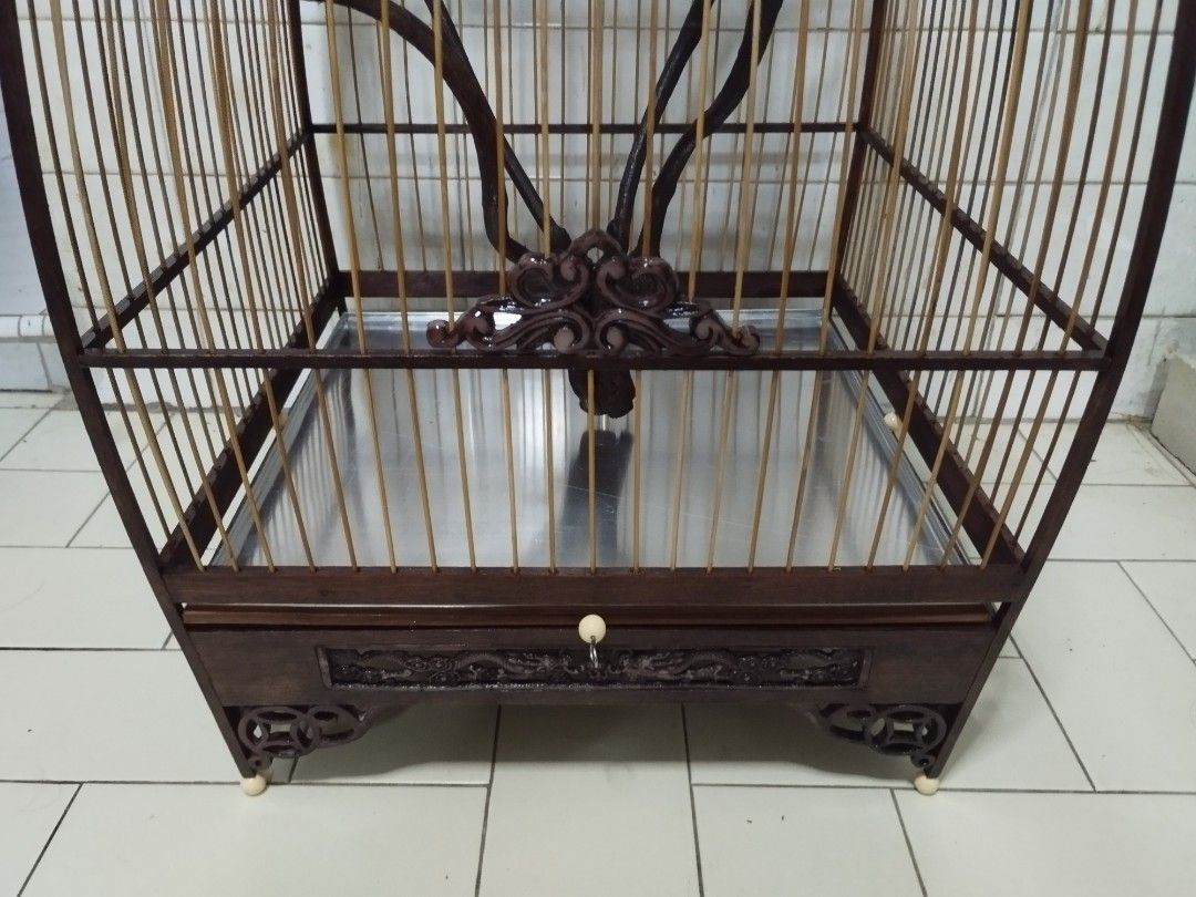 jambul Penang Gaya cage, Pet Supplies, Homes & Other Pet Accessories on Carousell