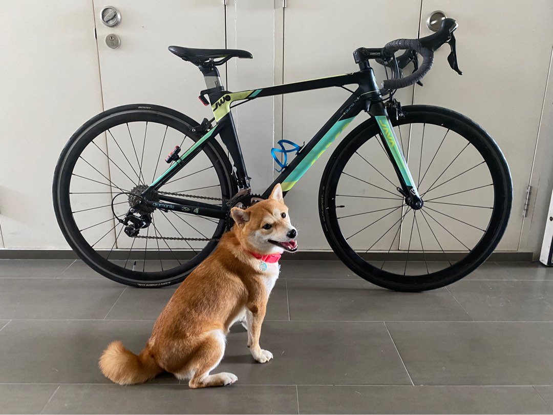 Java diamante road bike, Sports Equipment, Bicycles & Parts, Bicycles on Carousell