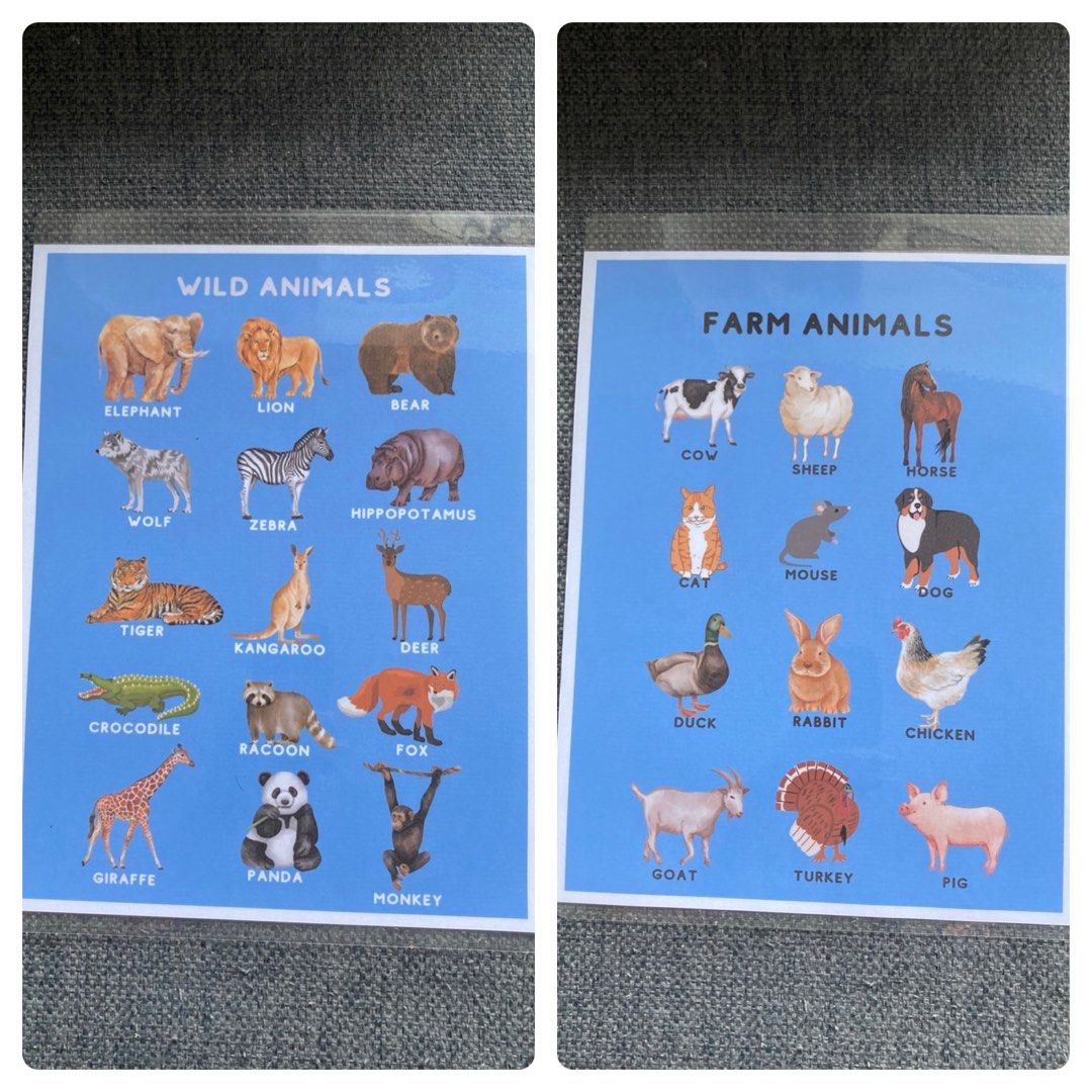 Learning Chart, Hobbies & Toys, Stationary & Craft, Stationery & School ...