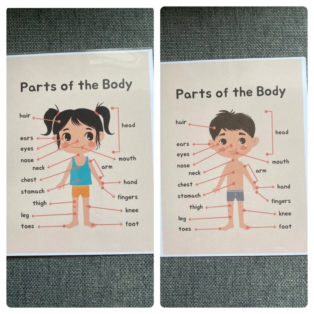 Learning Chart, Hobbies & Toys, Stationary & Craft, Stationery & School ...