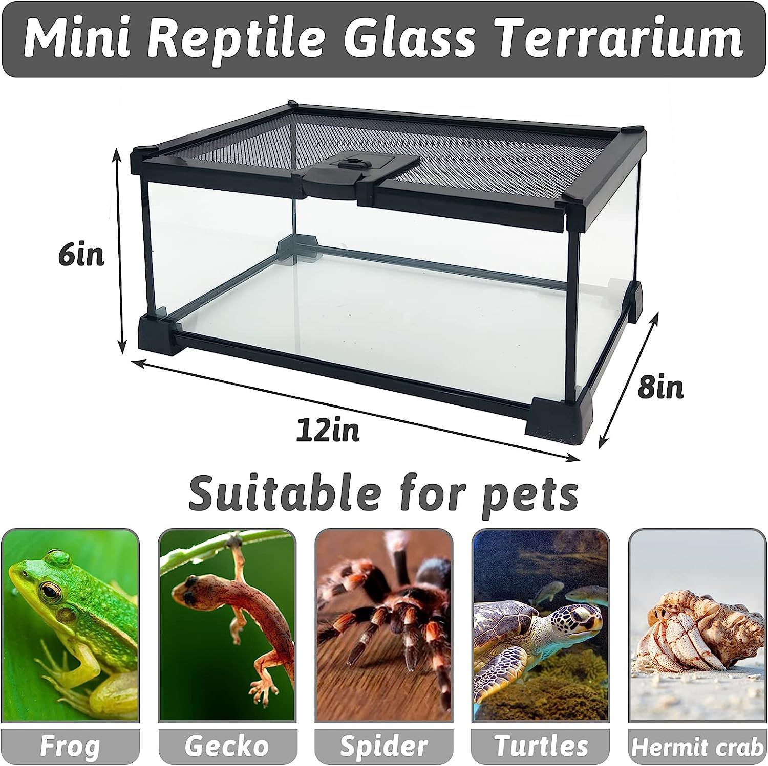 PINVNBY Mini Reptile Glass Terrarium Tank 12"x8"x6" Micro Habitat ...