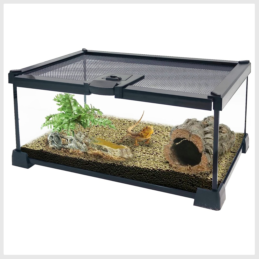 PINVNBY Mini Reptile Glass Terrarium Tank 12"x8"x6" Micro Habitat ...