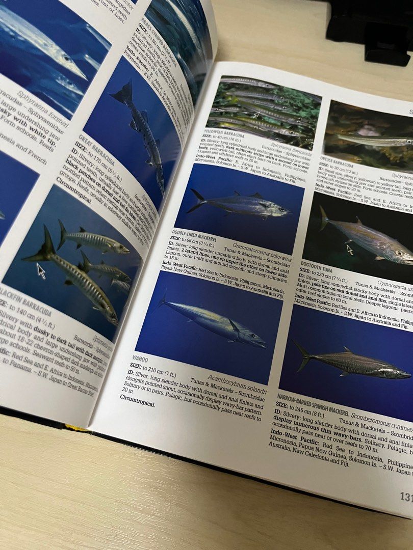 Reef fish identification, Hobbies & Toys, Books & Magazines, Textbooks ...