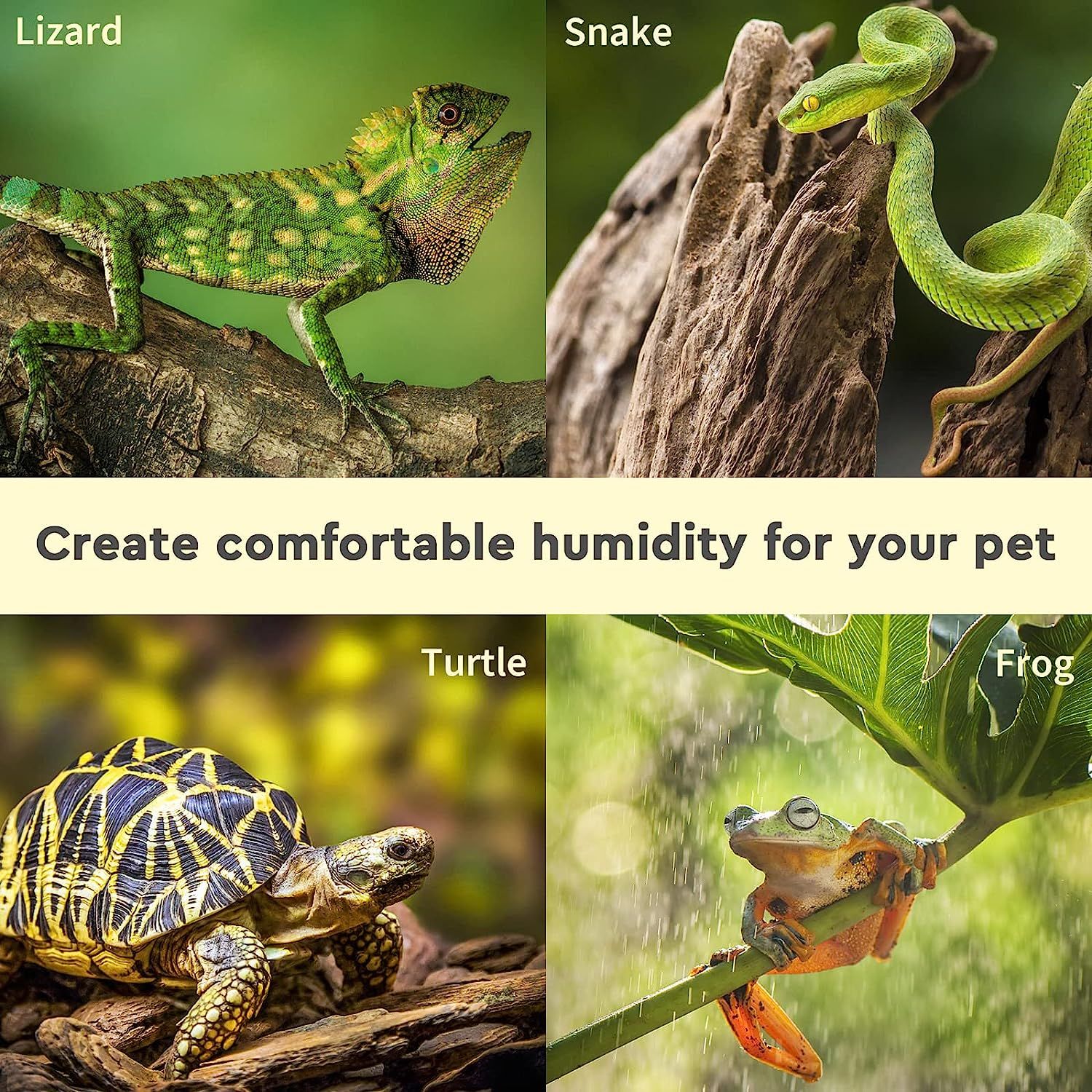 Reptile Humidifiers,Humidity Controller for Reptile Terrariums,Vivarium ...