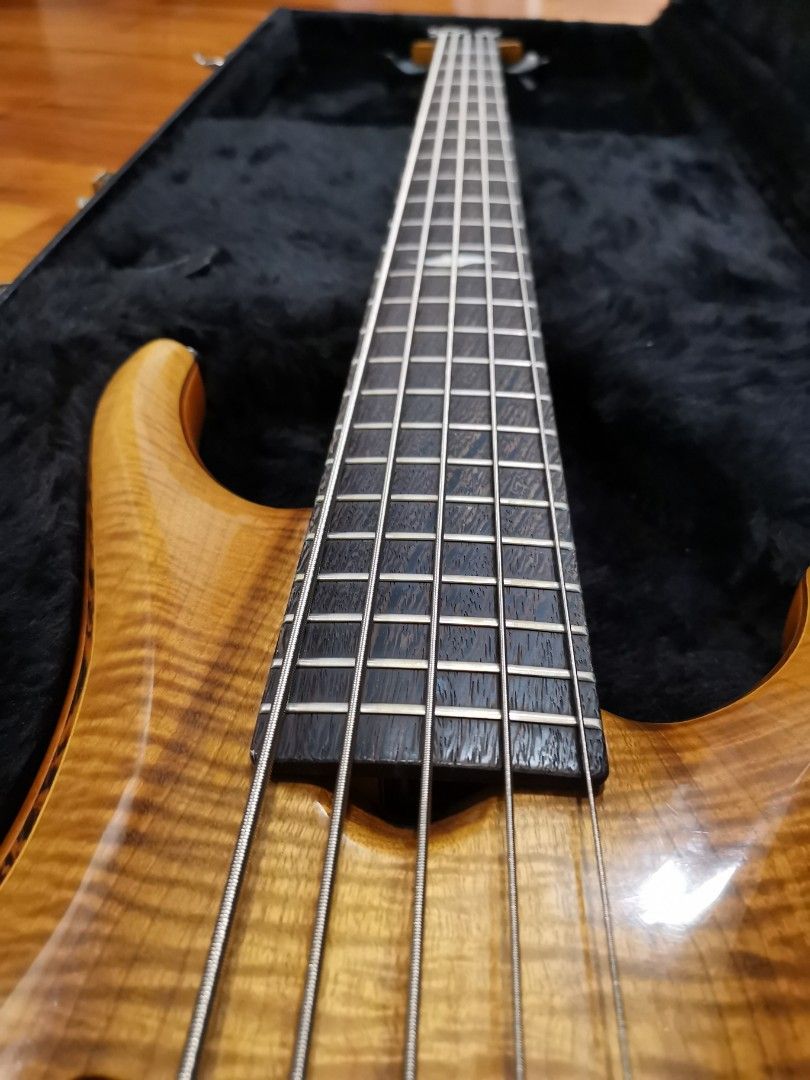 Roscoe LG Custom 5 String Bass Guitar, Hobbies & Toys, Music & Media ...