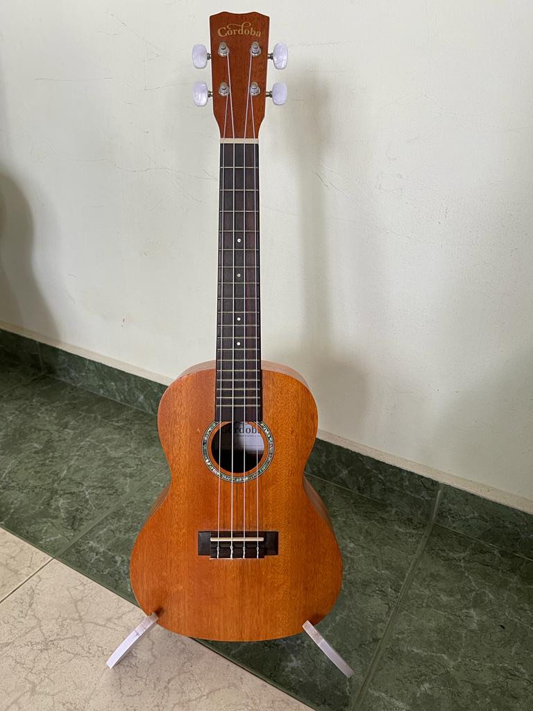 Ukulele, Hobbies & Toys, Music & Media, Musical Instruments on Carousell