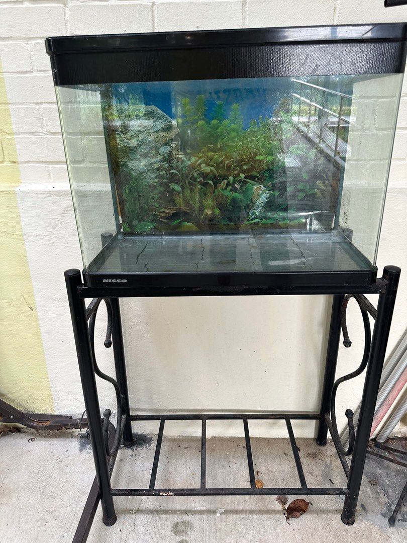 2 feet fish tank with stand, Pet Supplies, Homes & Other Pet ...