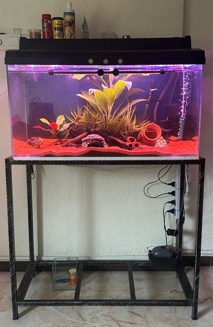 3 Feet fish tank with stand, Pet Supplies, Homes & Other Pet ...