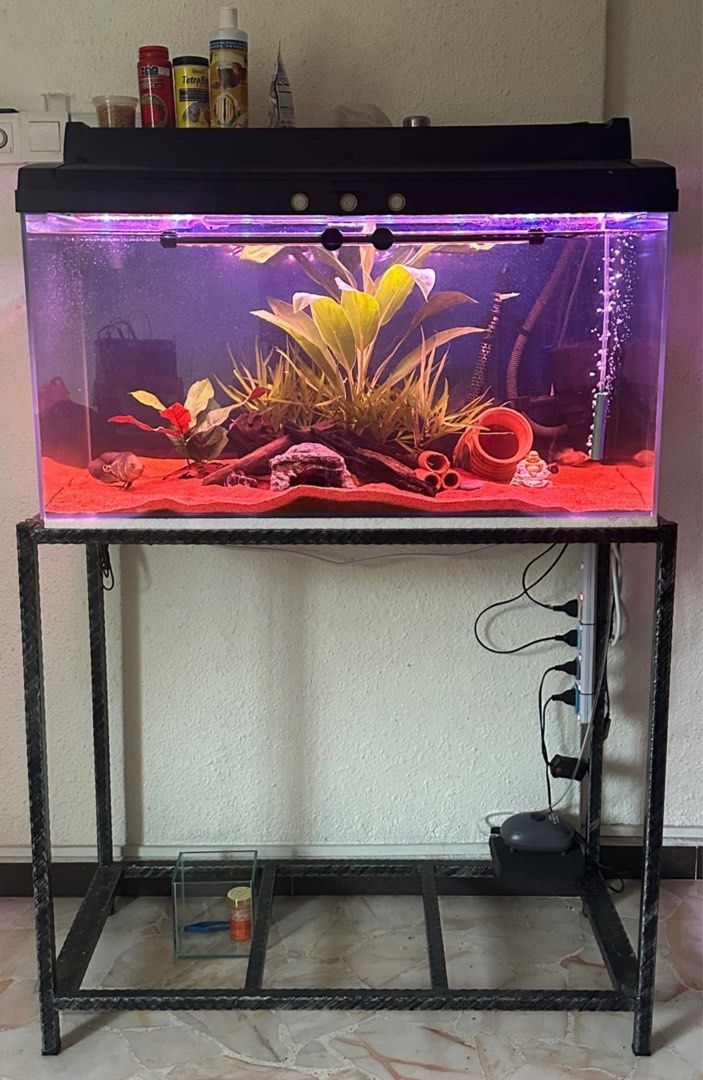 3 Feet fish tank with stand, Pet Supplies, Homes & Other Pet ...