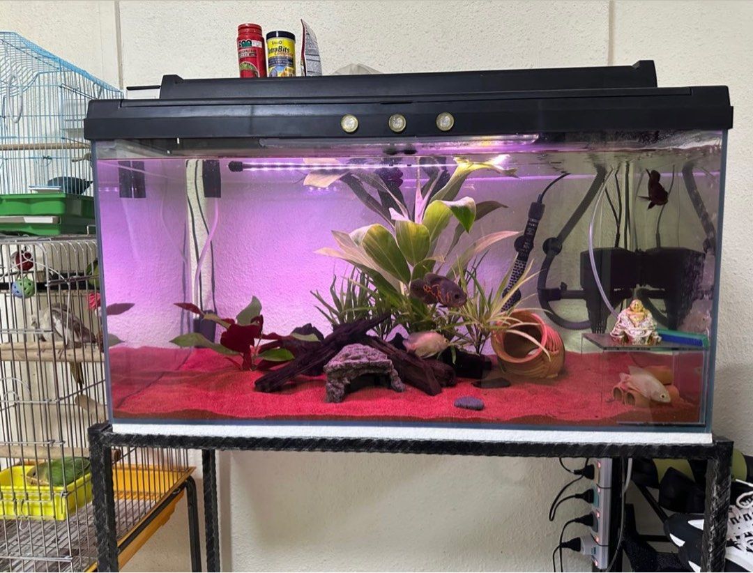 3 Feet fish tank with stand, Pet Supplies, Homes & Other Pet ...