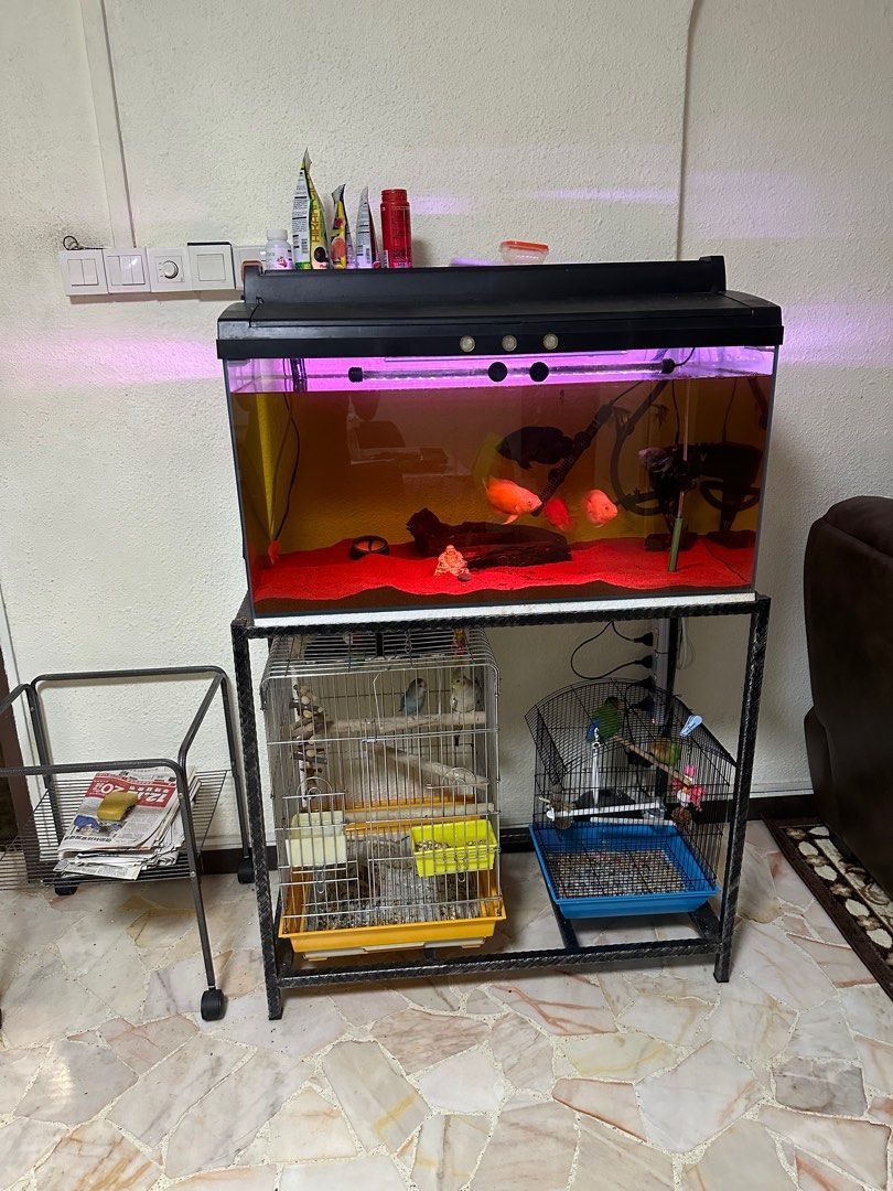 3 Feet fish tank with stand, Pet Supplies, Homes & Other Pet ...