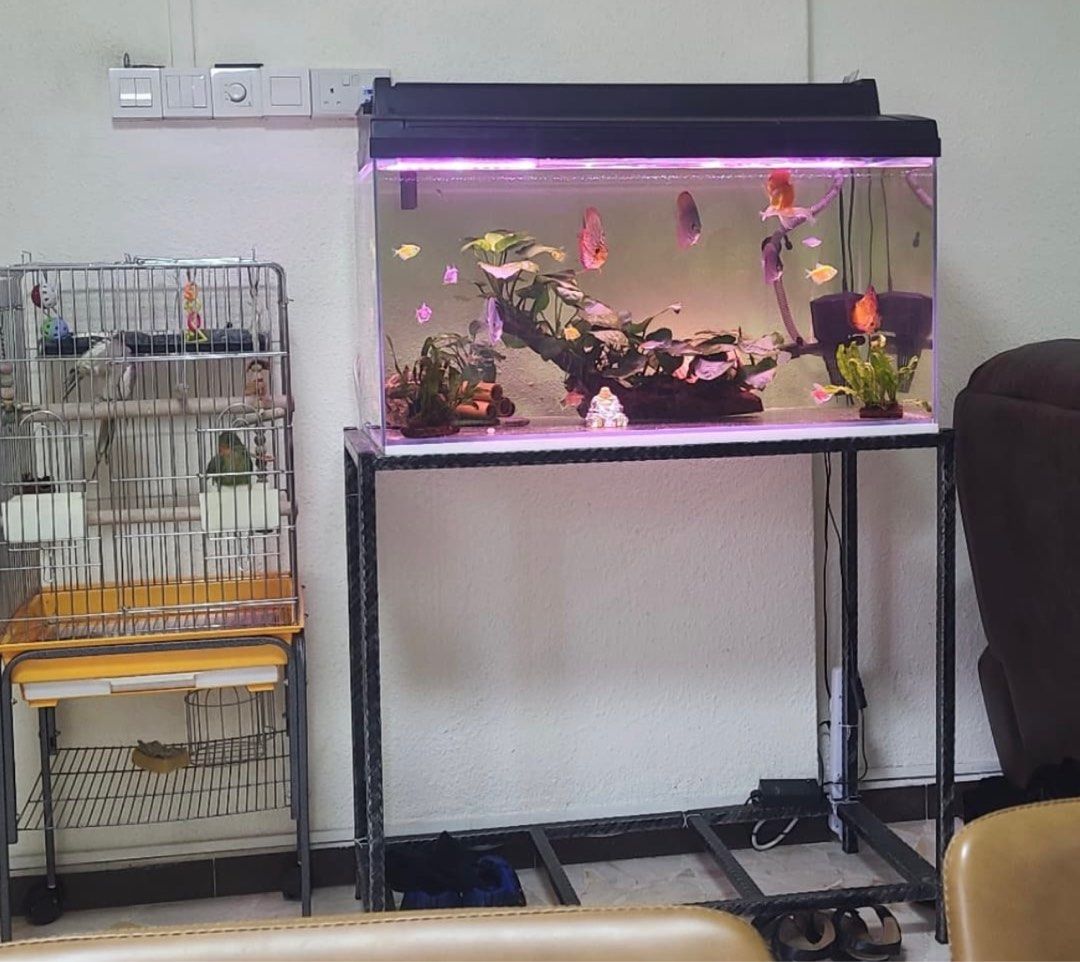 3 Feet fish tank with stand, Pet Supplies, Homes & Other Pet ...