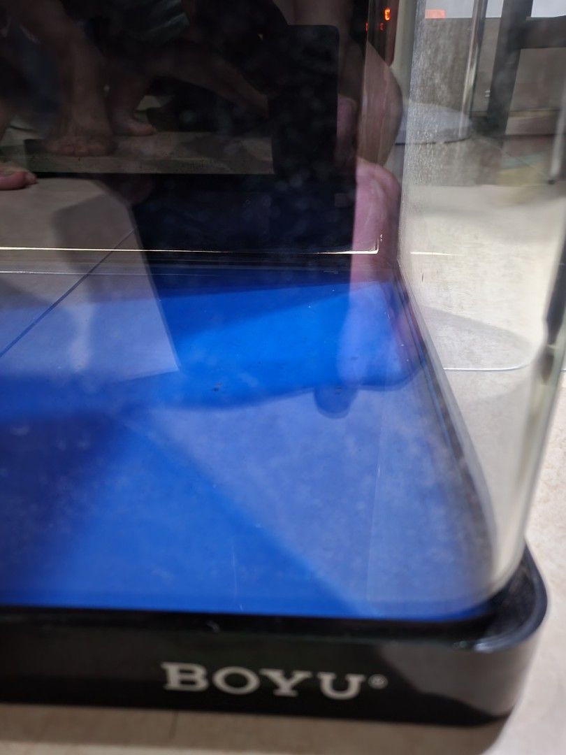 Boyu Fish tank, Pet Supplies, Homes & Other Pet Accessories on Carousell