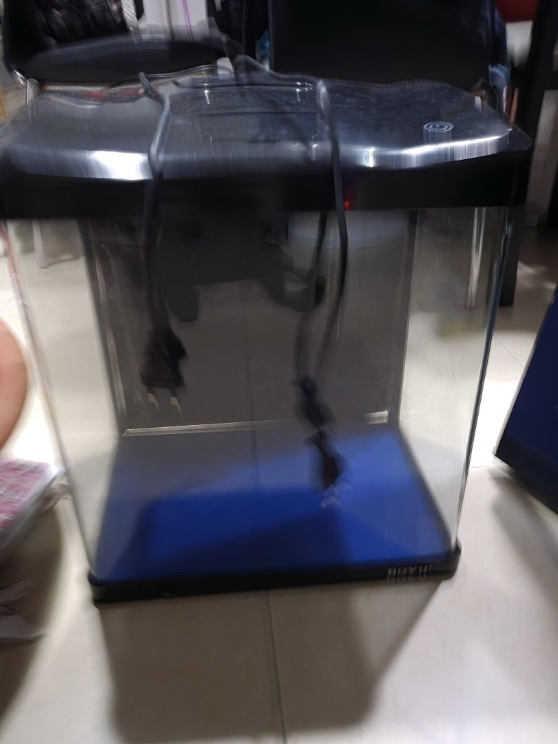 Boyu Fish tank, Pet Supplies, Homes & Other Pet Accessories on Carousell