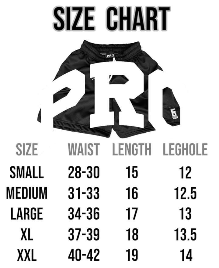 CHRIS BROWN MESH SHORT “DAWG”, Women's Fashion, Bottoms, Shorts on ...