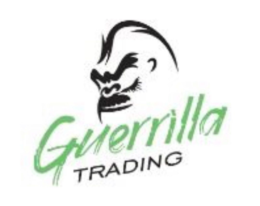 Guerrilla Trading Course Materials, Computers & Tech, Parts ...