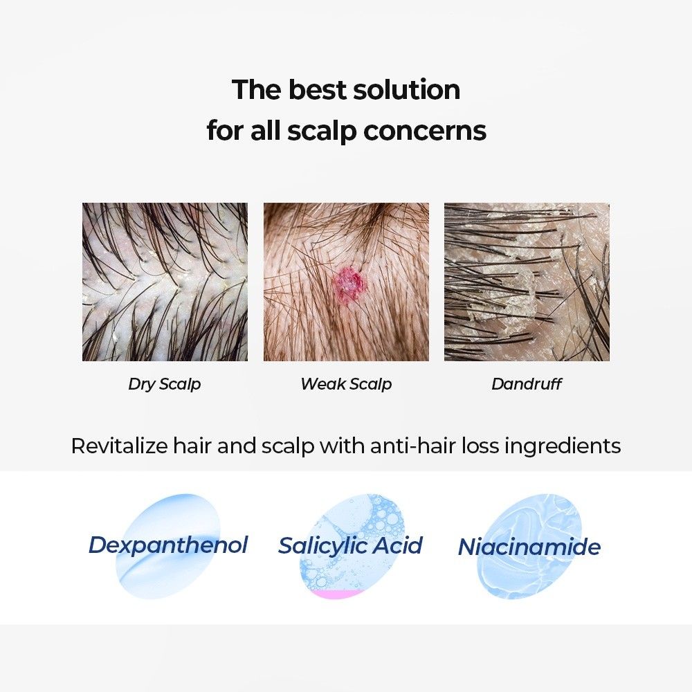 [JulyMe] Woody and Musk Perfume Shampoo 500ml, Beauty & Personal Care ...