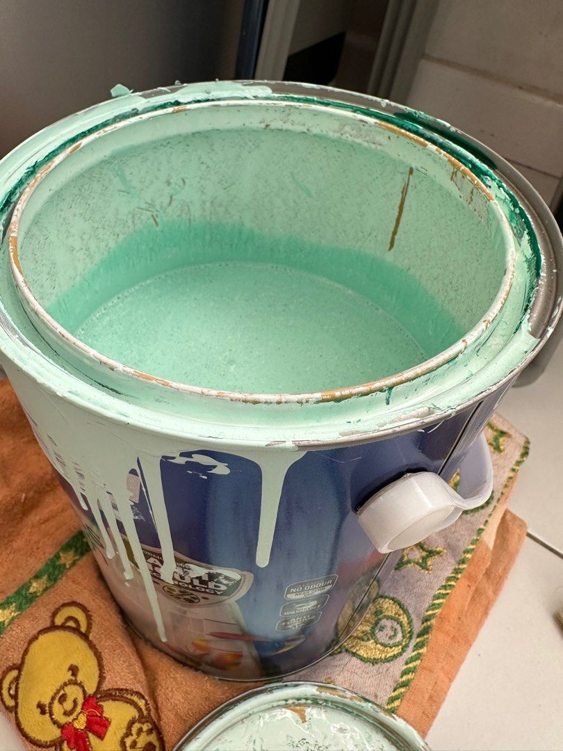 Nippon Odorless Easywash Paint Valley Green Color left 2/3 of the 5 liter paint - collecting ...
