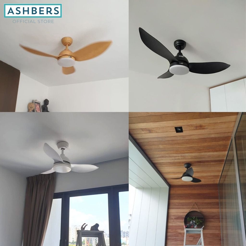 RAPTOR 3 Blade Ceiling Fan with optional 24W, Furniture & Home Living ...