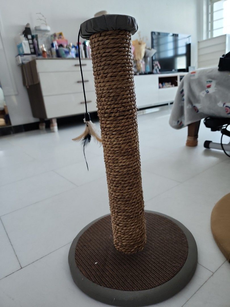 Scratch poles & board, Pet Supplies, Homes & Other Pet Accessories on ...
