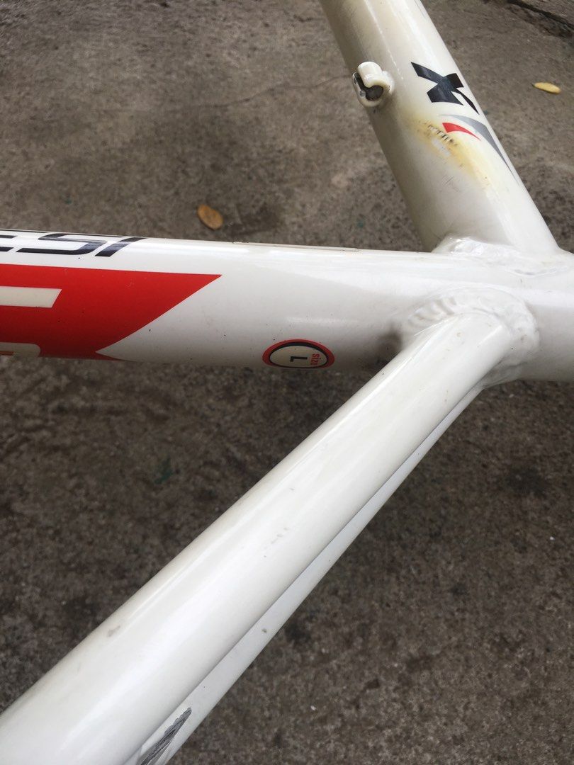 Sintesi Frameset (allucarb), Sports Equipment, Bicycles & Parts ...