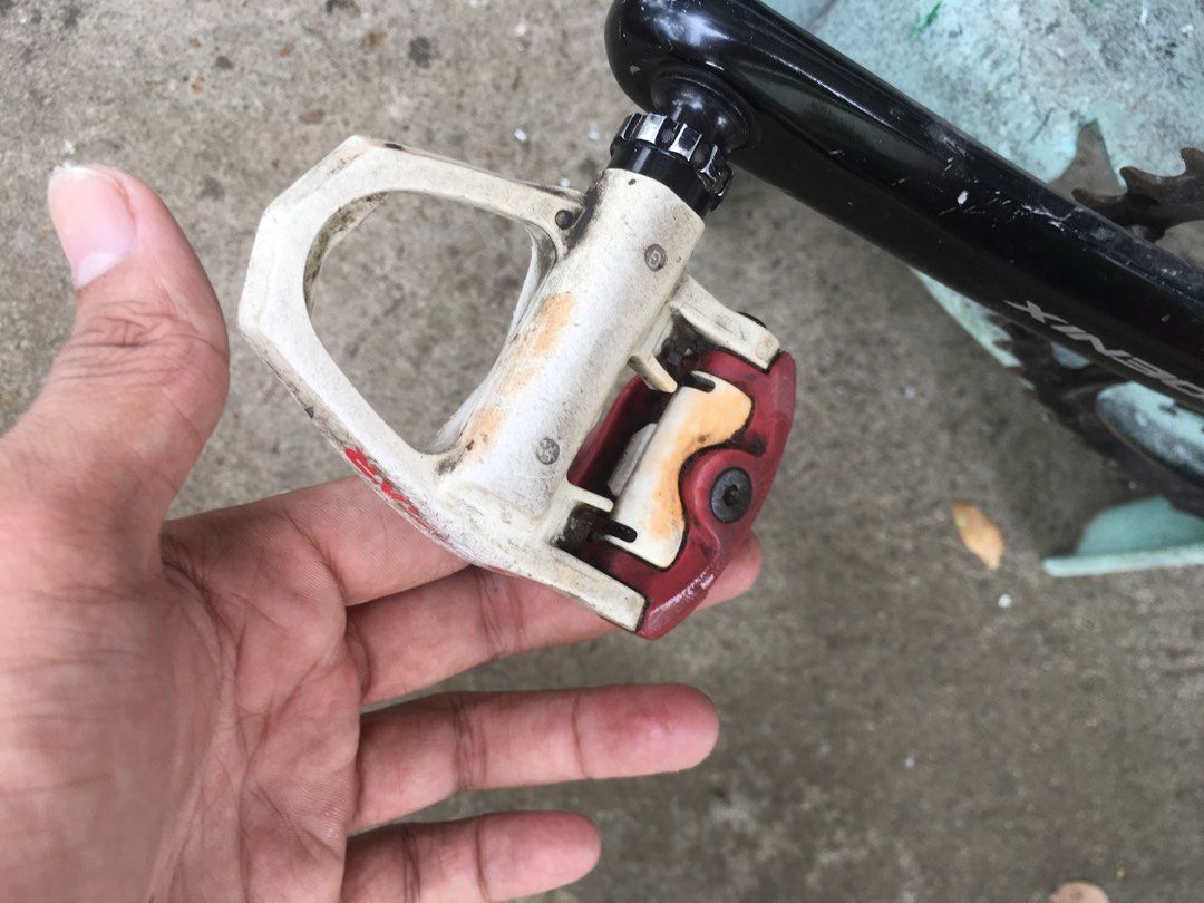 Sintesi Frameset (allucarb), Sports Equipment, Bicycles & Parts ...