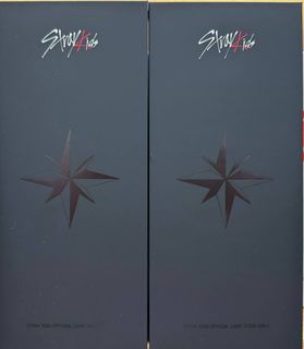 WTS Authentic Stray kids/SKZ lightstick version 2, Hobbies & Toys ...