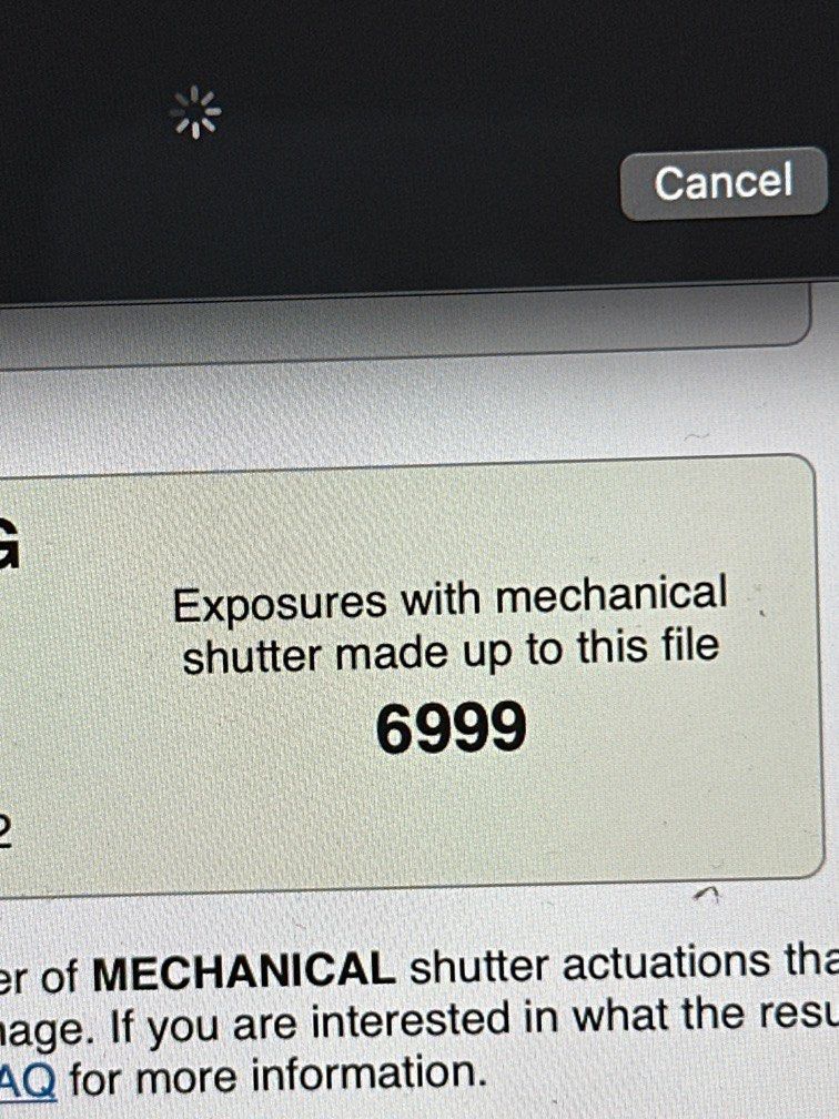 Sony a73, Photography, Cameras on Carousell