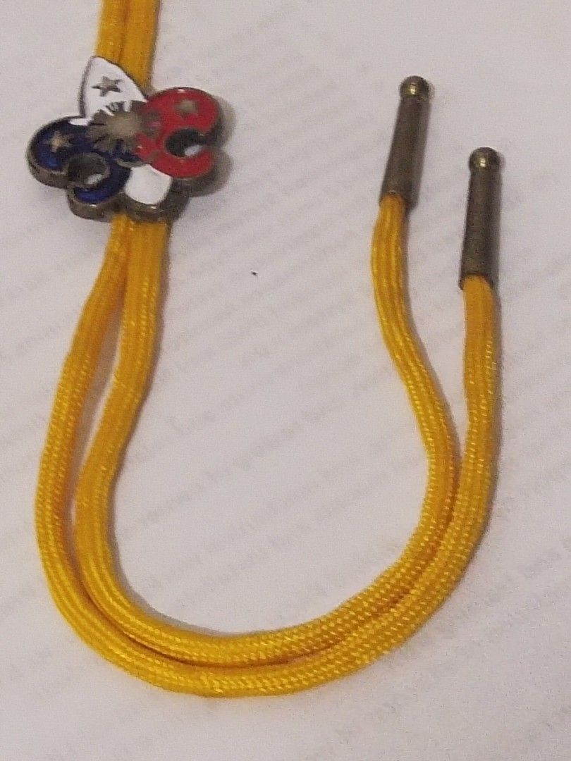 vintage "BSP Laminated Metal Scout symbol"/with Paracord/Copper aglets ...