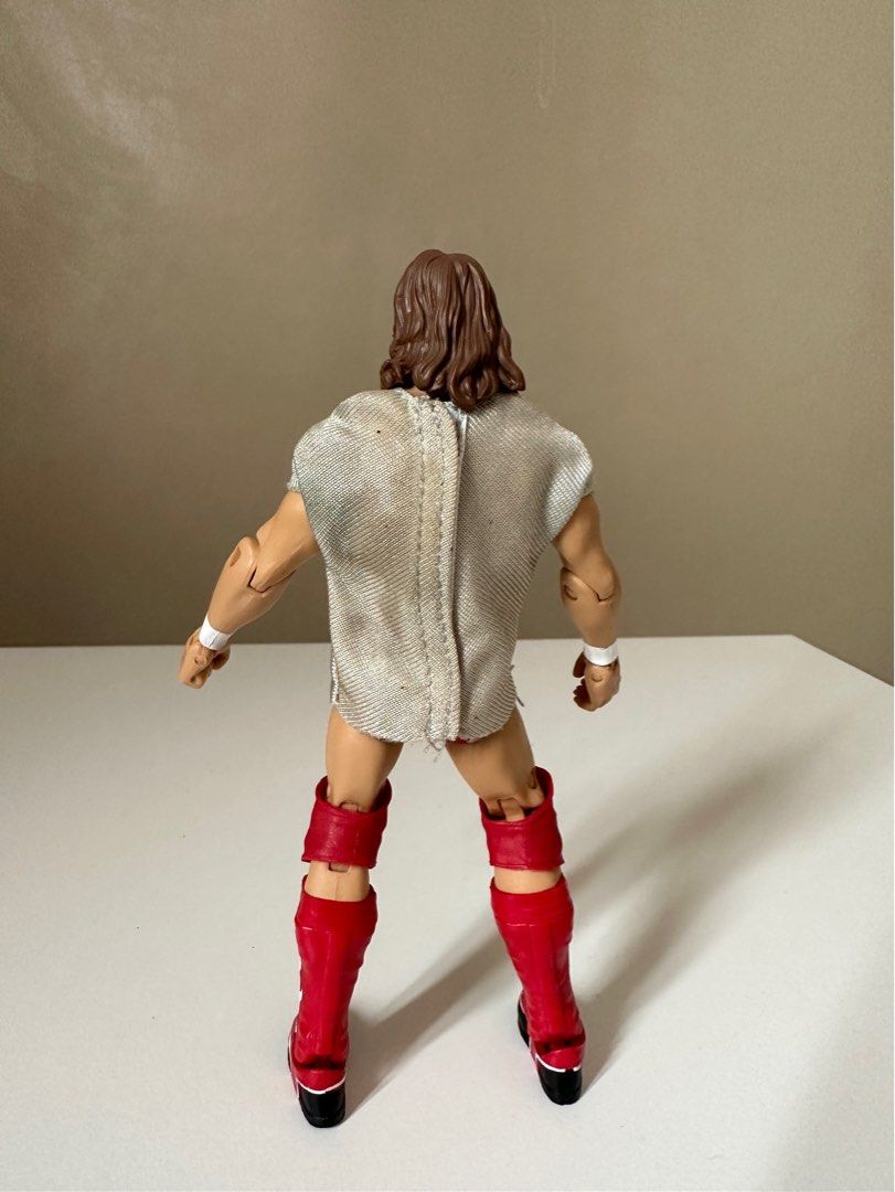 WWE Elite series 38 Daniel Bryan, Hobbies & Toys, Toys & Games on Carousell